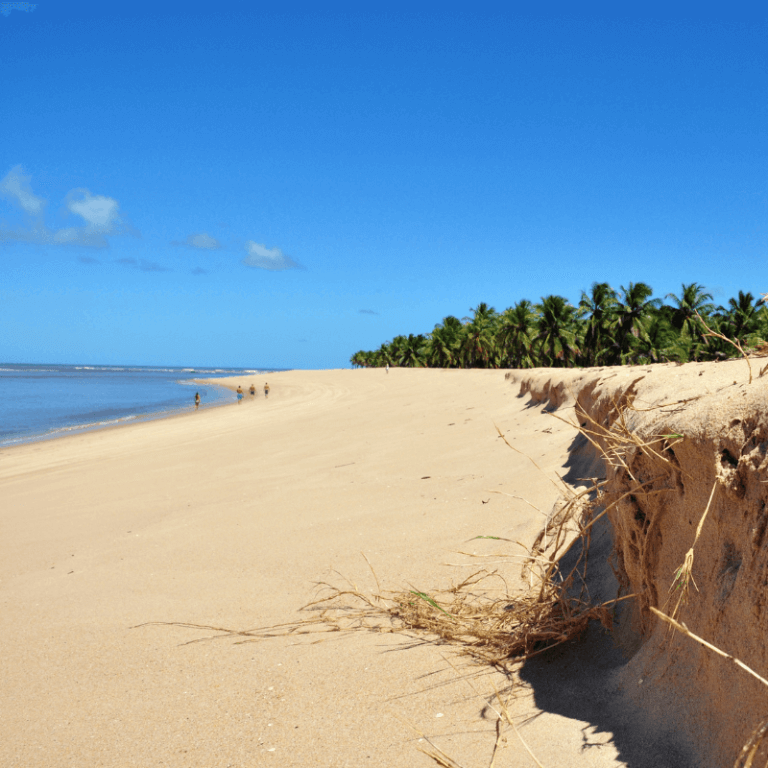 Praia do Gunga - Você precisa conhecer em 2025 - Mil Voos